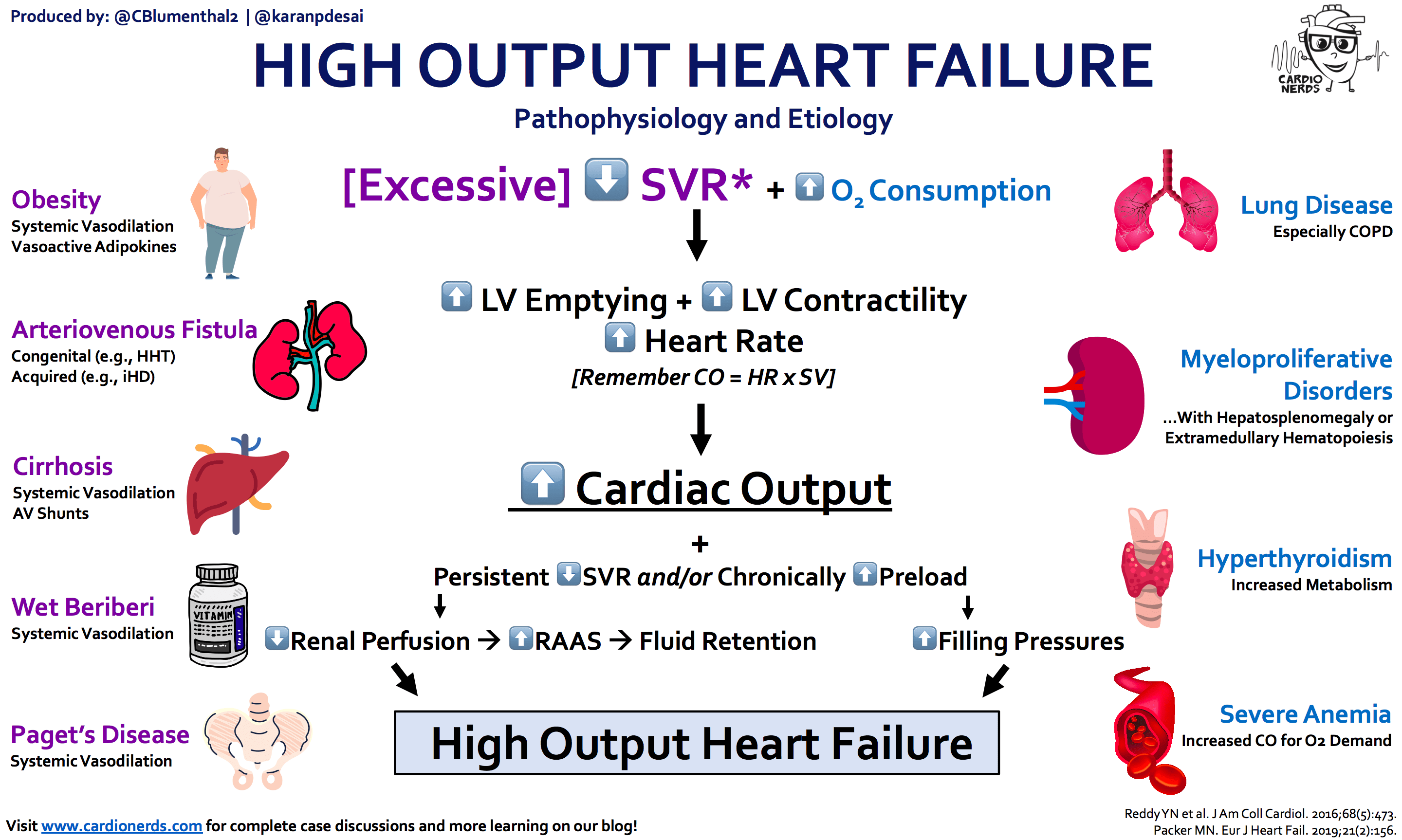 Pathogenesis Of Low And High Cardiac Output Heart Failure Reproduced Picture