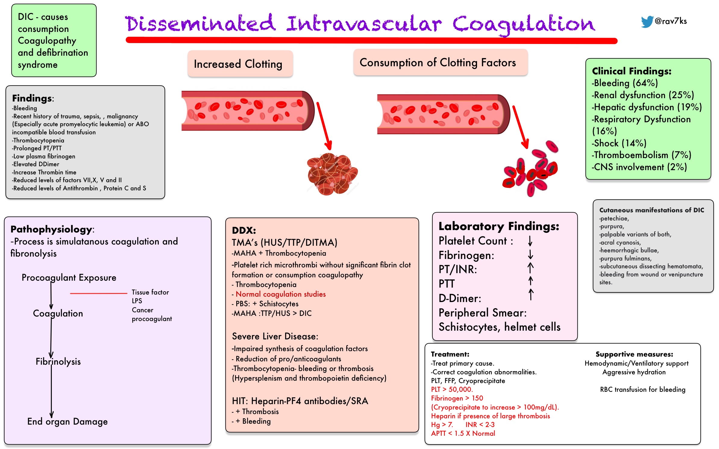 Disseminated Intravascular Coagulation Diagnosis Images And Photos Finder