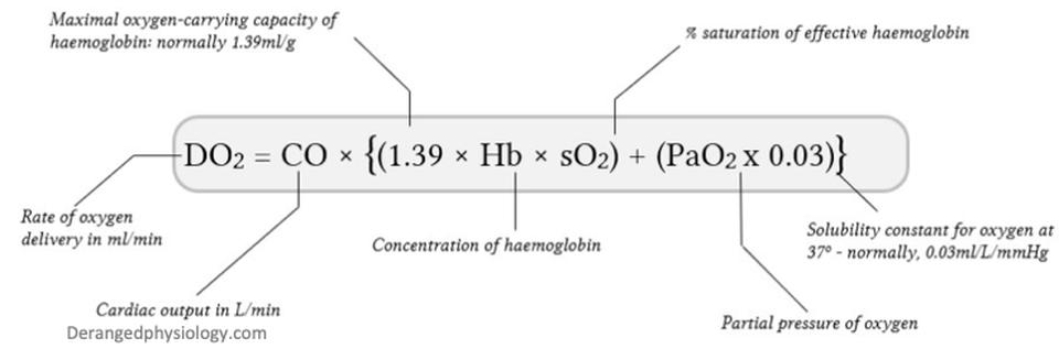 Why does anemic people have normal PO2 PaO2 PsO2??? : r/medicalschool