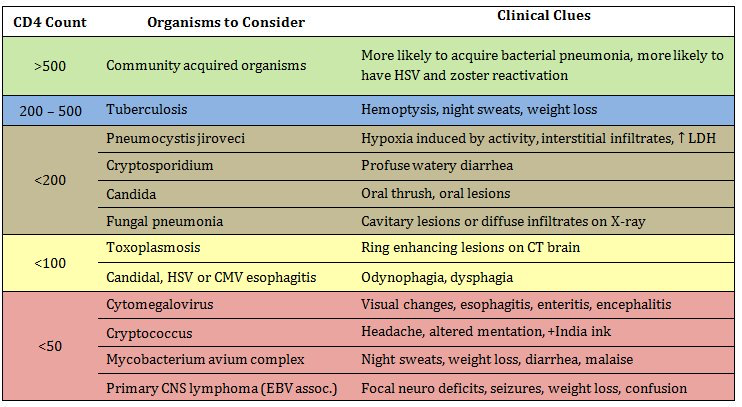 HIV Associated Infections Based On CD4 Count Diagnosis GrepMed