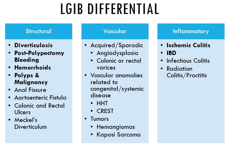 Lower GI Bleed Differential Diagnosis Framework Structural GrepMed