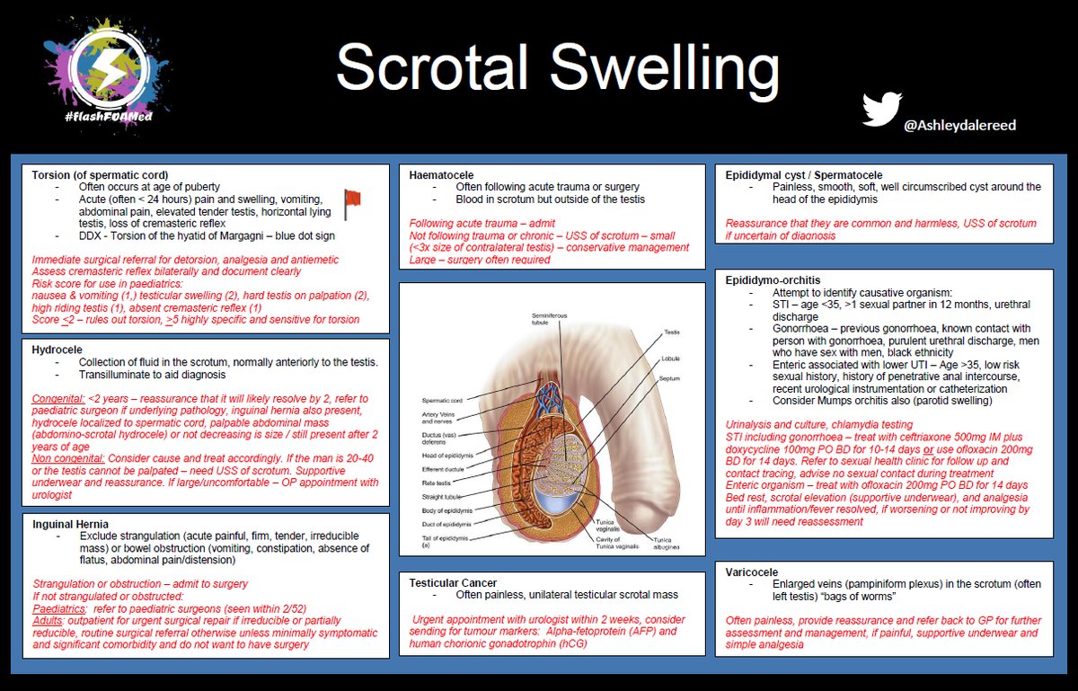 Scrotal Swelling Diagnosis Management Urology ScrotalSwelling