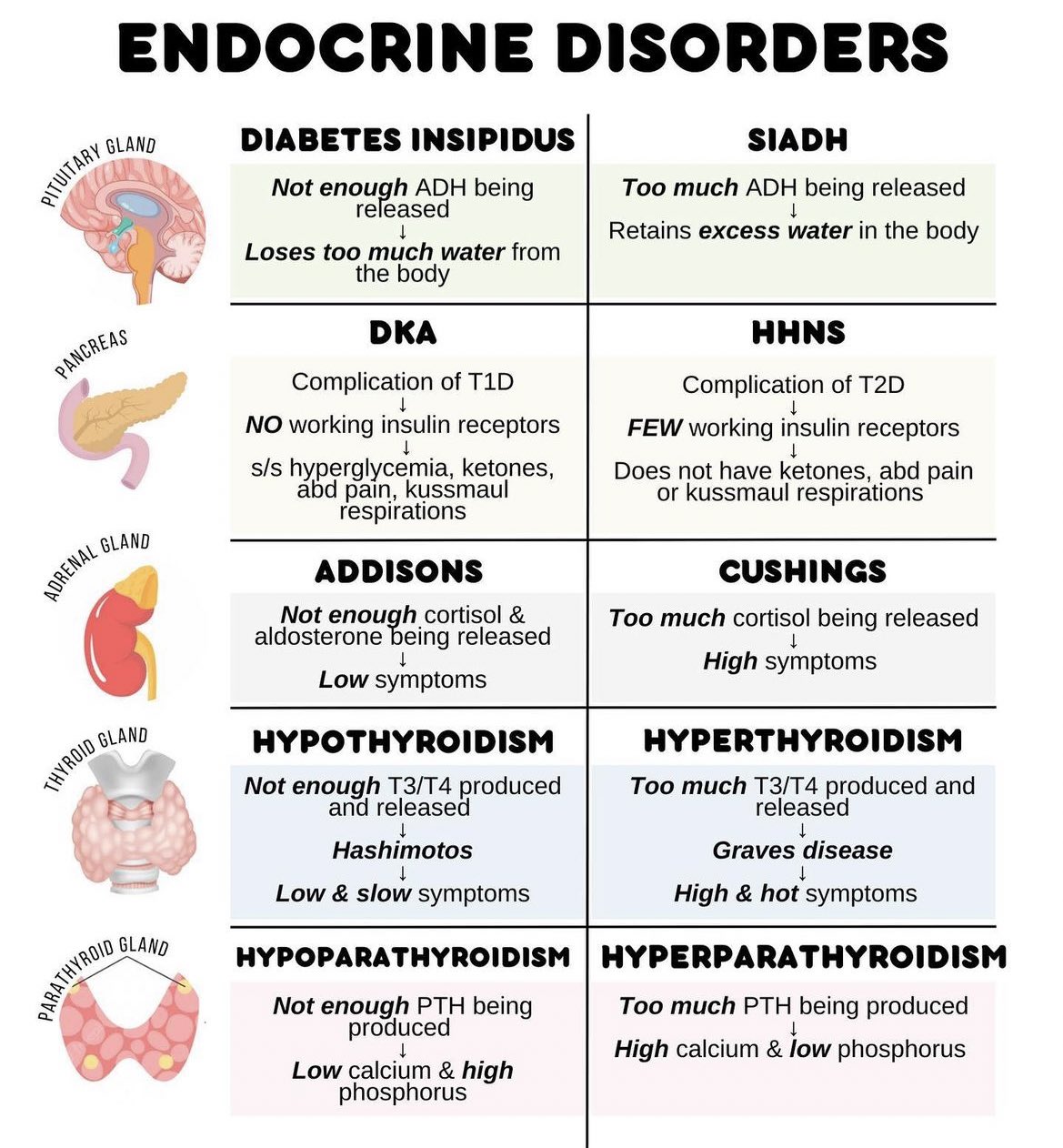 Endocrine Disorders Endocrine Endocrine disorders GrepMed
