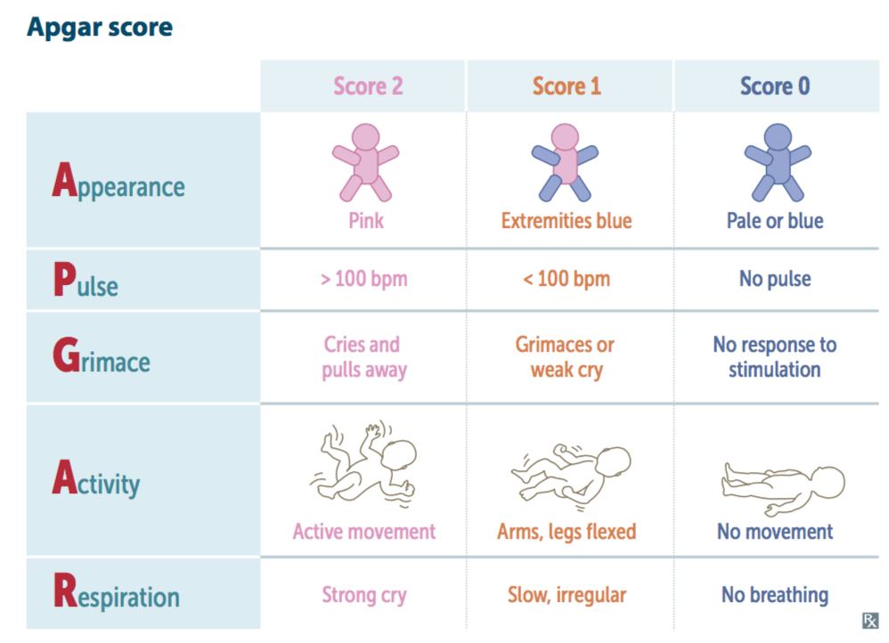 Newborn Assessment APGAR Score Assessment Of Newborn GrepMed