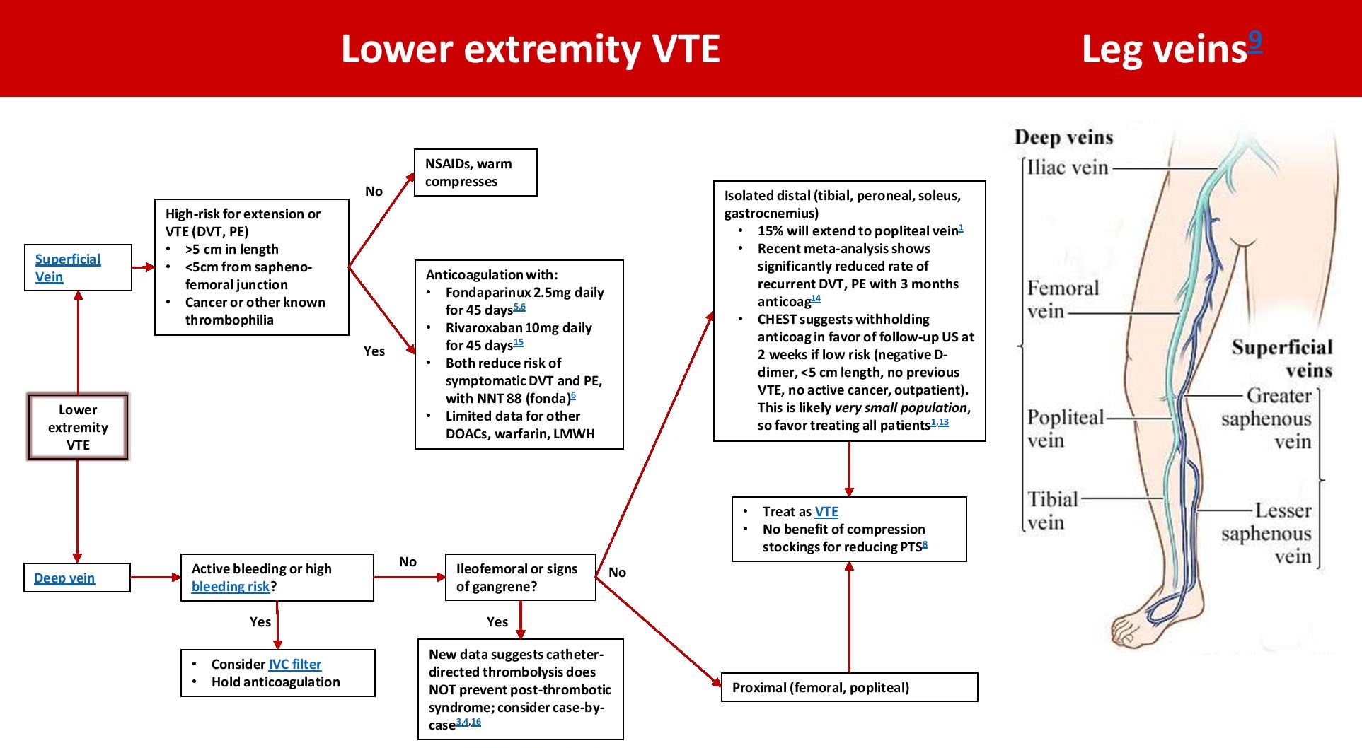 Lower Extremity Venous Thrombosis Management And GrepMed