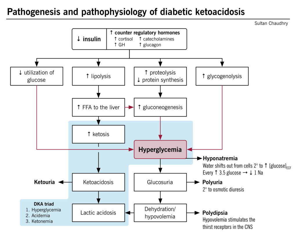 Pathogenesis And Pathophysiology Of Diabetic Ketoacidosis GrepMed