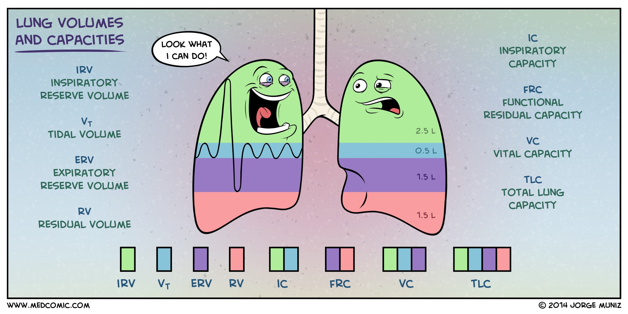 Lung Volumes And Capacities The Amount Of Air That GrepMed Lung Volumes And Capacities The Amount Of Air That GrepMed