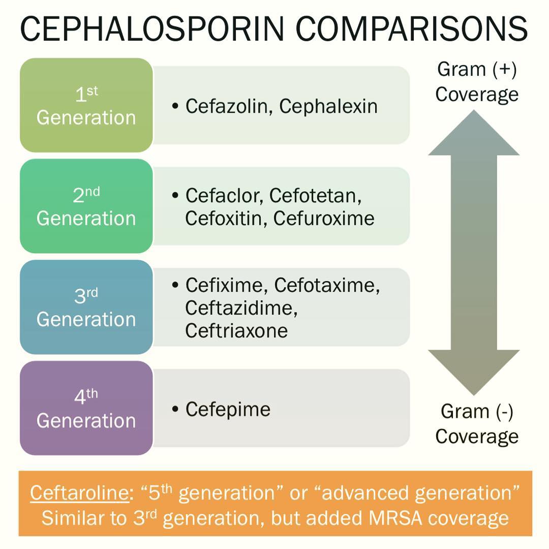 Cephalosporin Comparison Coverage 1st Generation GrepMed