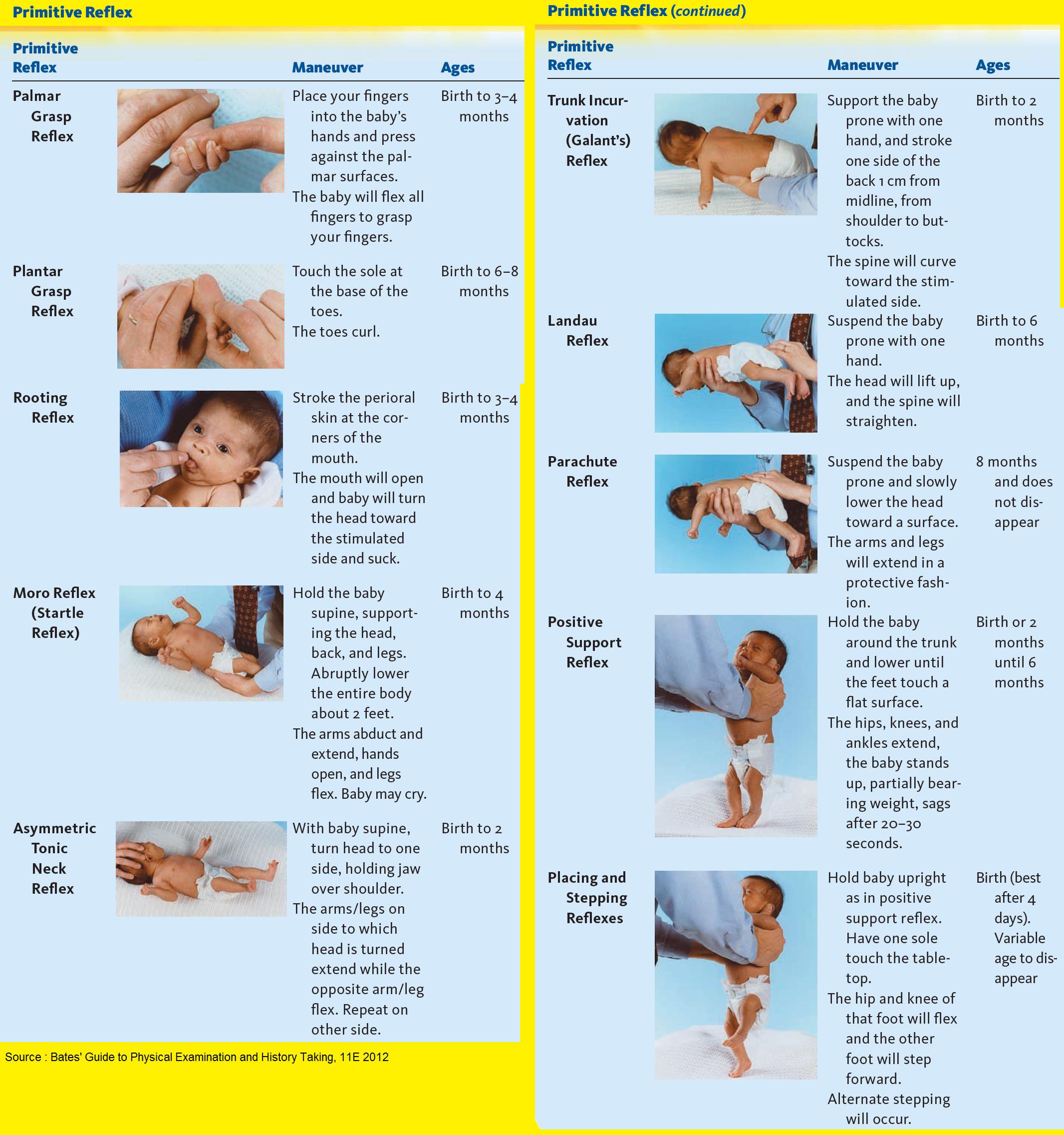 Pediatric Primitive Reflexes Maneuver And Ages Palmar GrepMed