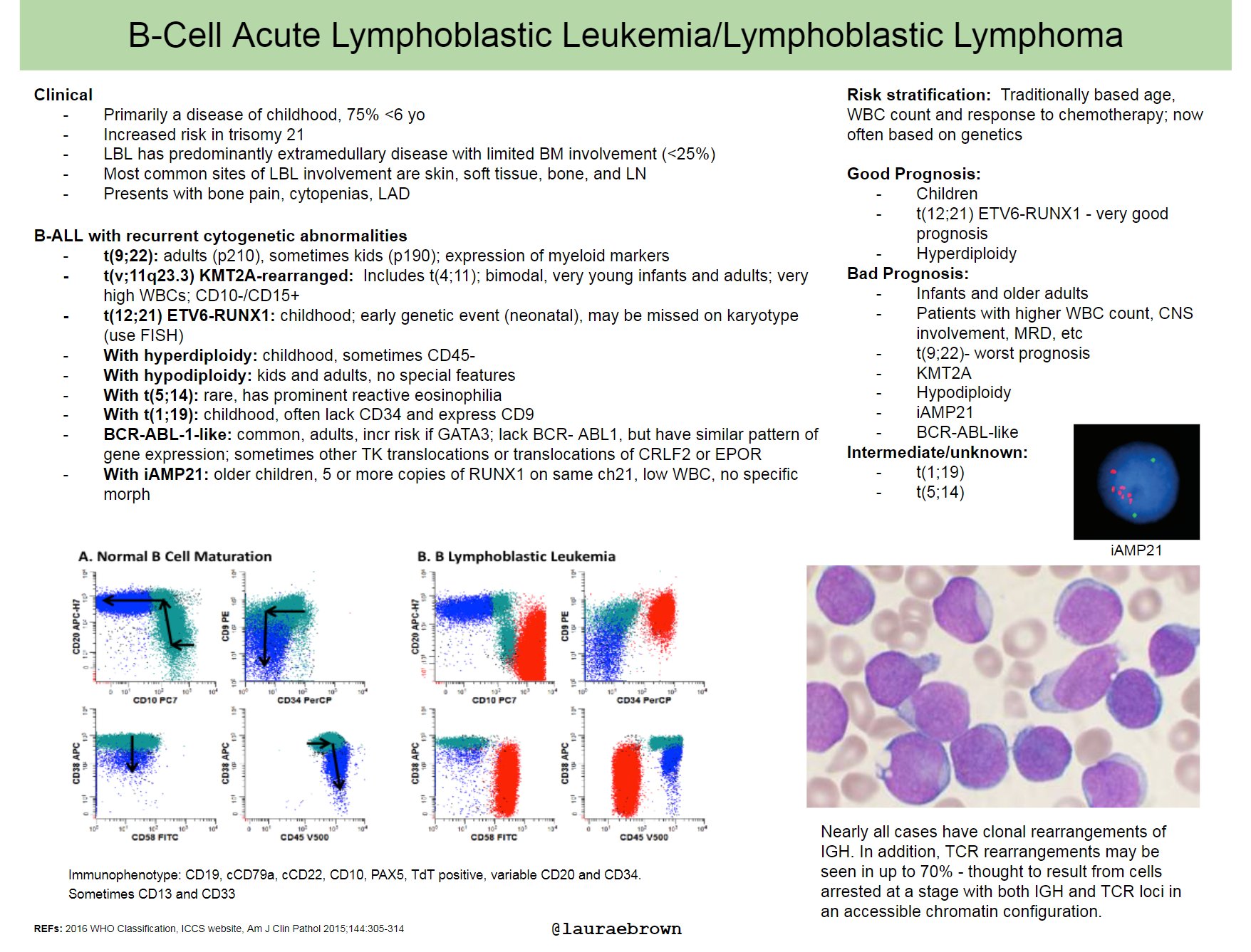 B Cell Acute Lymphoblastic Leukemia Lymphoblastic Lymphoma Clinical
