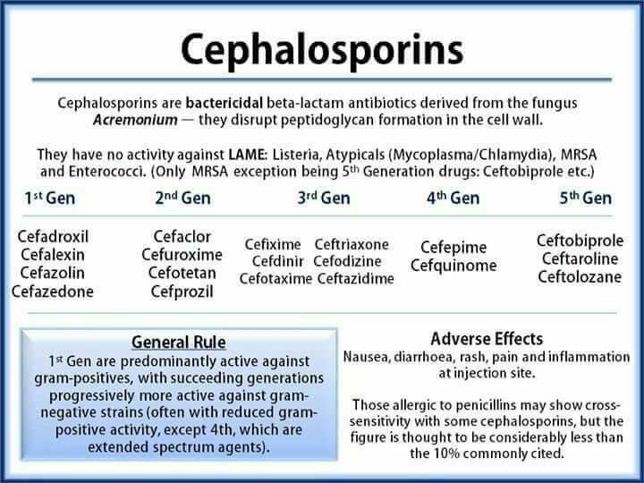 Cephalosporine Der 3 Generation Captions Pages