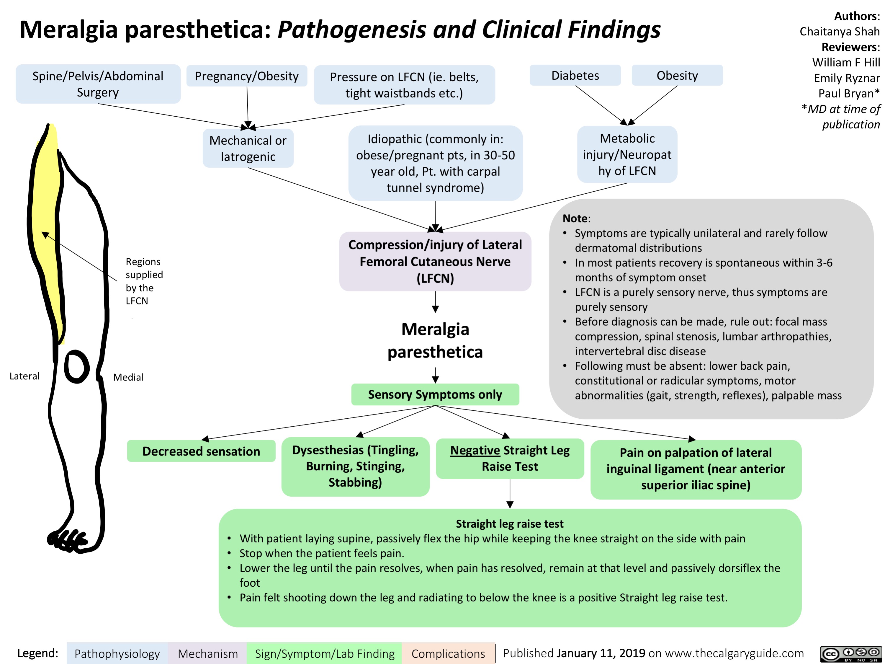 Meralgia Paresthetica Pathogenesis And Clinical Findings Compression Meralgia Paresthetica Pathogenesis And Clinical Findings Compression