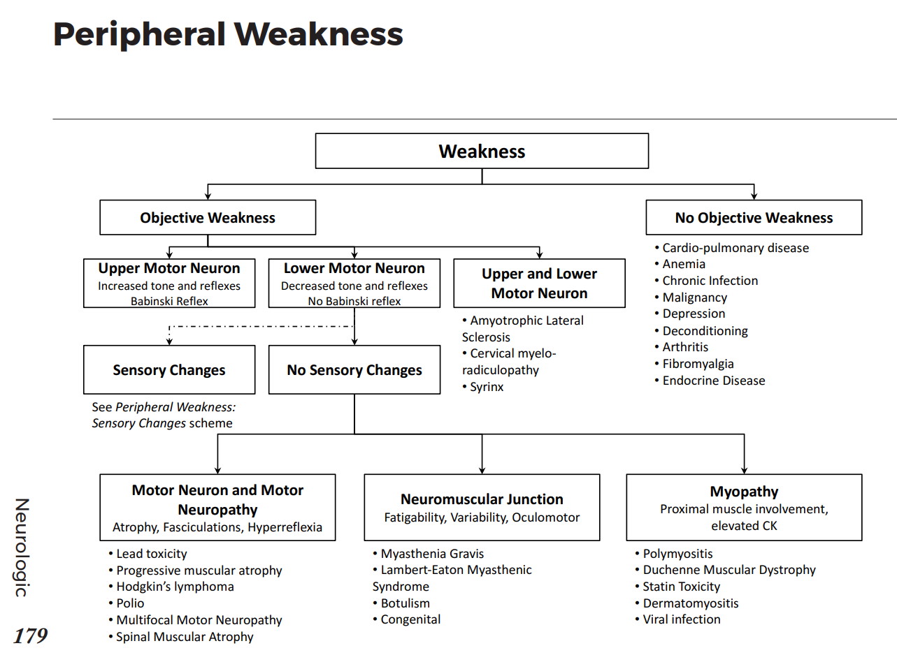 Causes Of Peripheral Weakness Without Sensory Changes GrepMed