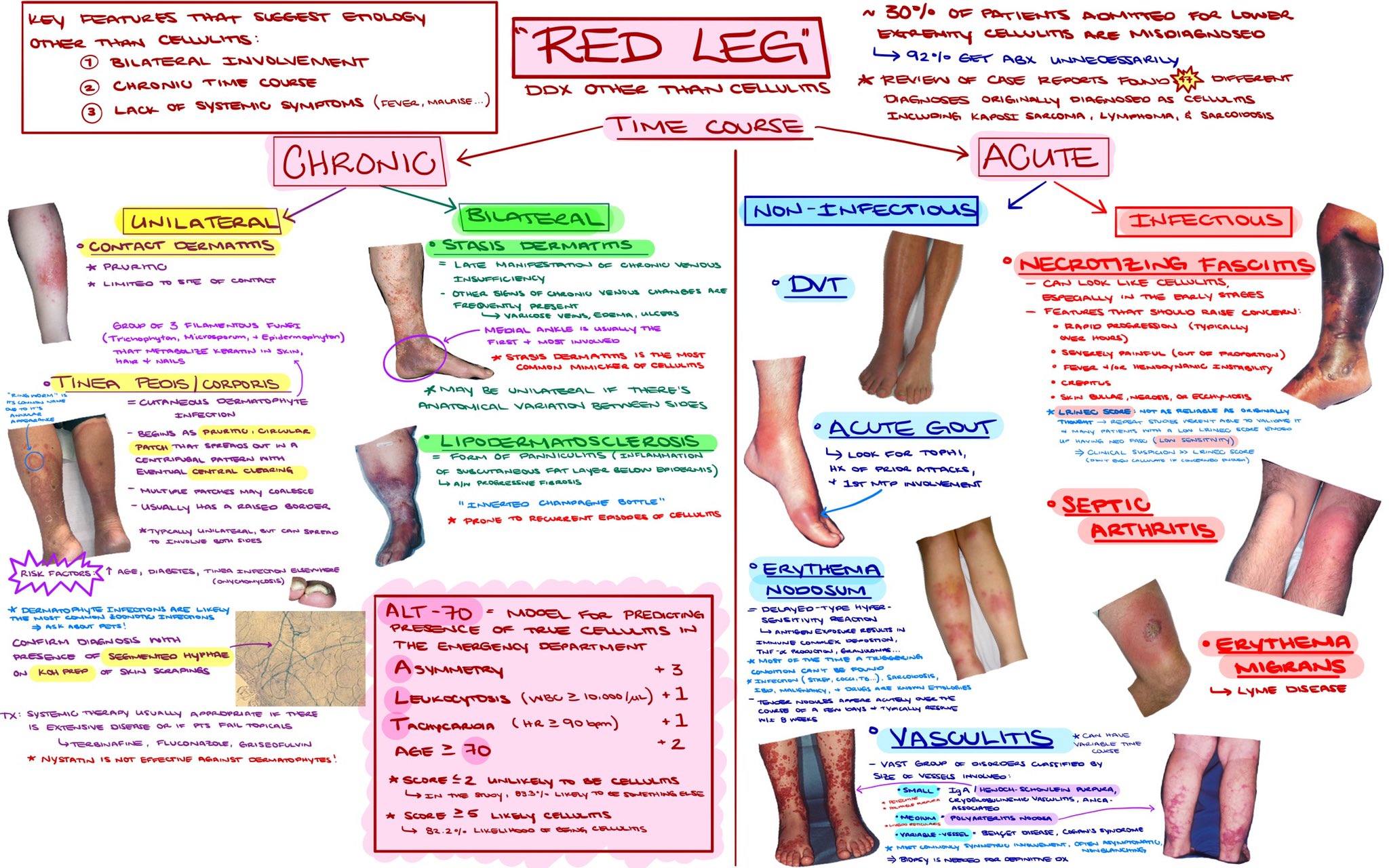 Red Leg Cellulitis Mimickers Unilateral GrepMed