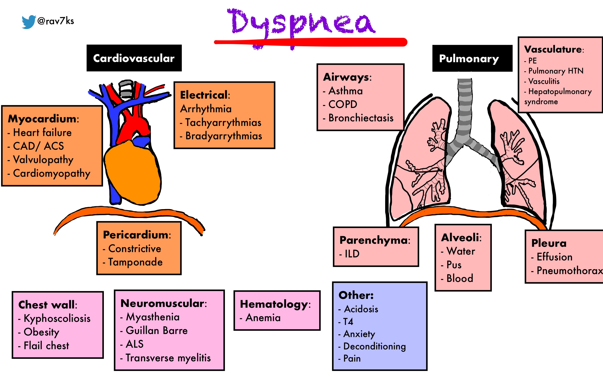 Causes Of Dyspnea Differential Diagnosis Cardiovascular GrepMed