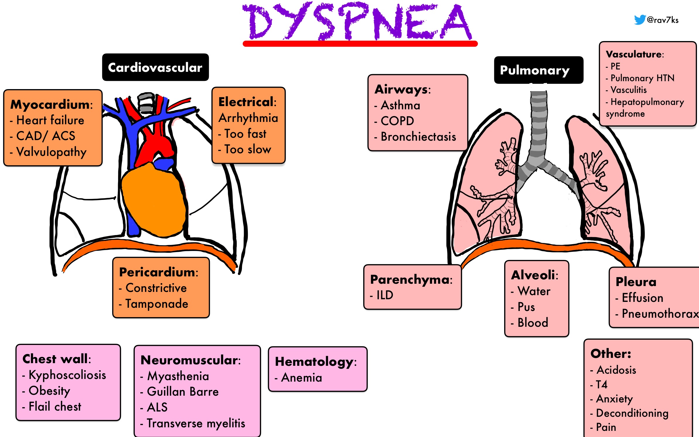 Causes Of Dyspnea Differential Diagnosis Cardiovascular GrepMed